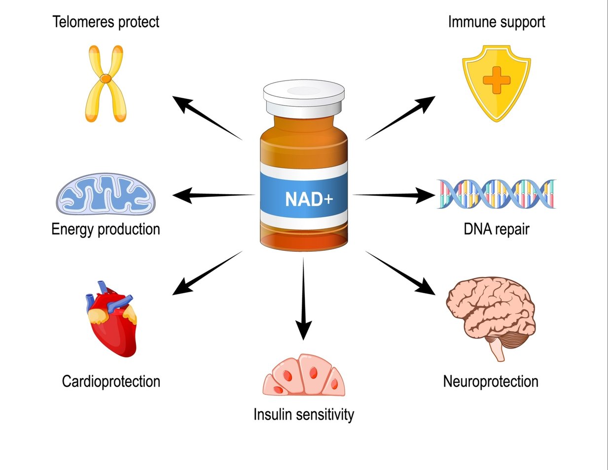 OhZone Clinics | Boost Your Energy And Mind With NAD